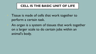 GRADE 11 GENERAL BIOLOGY LESSON 3: CELL TYPES ANIMAL TISSUES | PDF