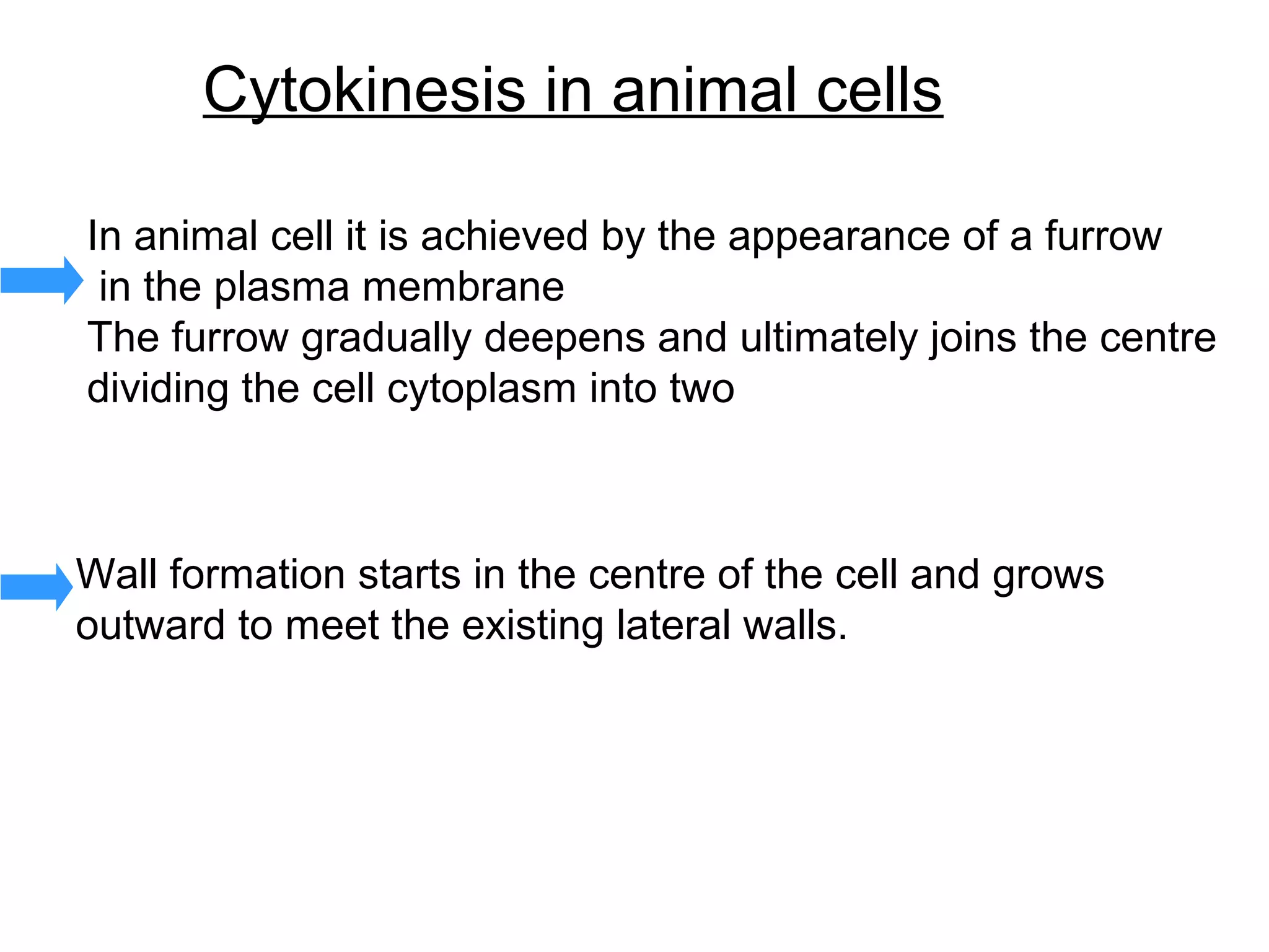 Bio cell cycle and cell division | PPT | Biological Sciences | Science