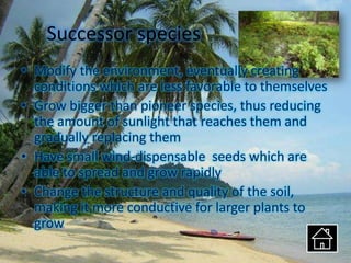 Biology - Colonisation and Succession | PPTX