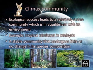 Biology - Colonisation and Succession | PPTX