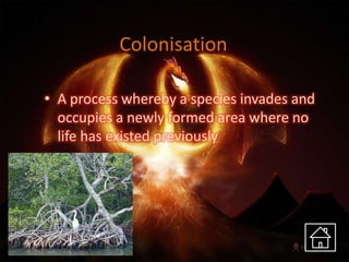 Biology - Colonisation and Succession | PPTX