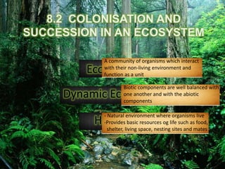 Biology - Colonisation and Succession | PPTX