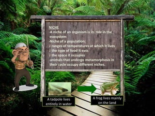 Biology - Colonisation and Succession | PPTX