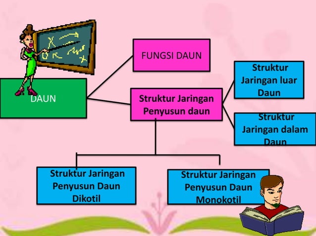 Struktur Jaringan dan Fungsi Daun | PPT