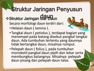 Struktur Jaringan dan Fungsi Daun | PPTX