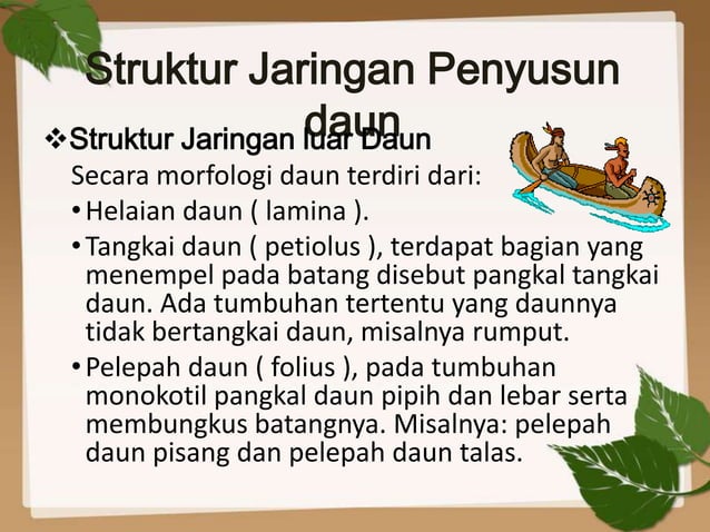 Struktur Jaringan dan Fungsi Daun | PPT