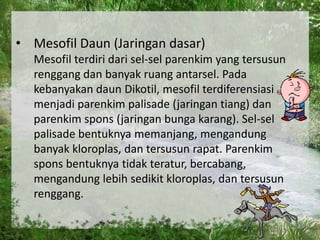 Struktur Jaringan dan Fungsi Daun | PPTX