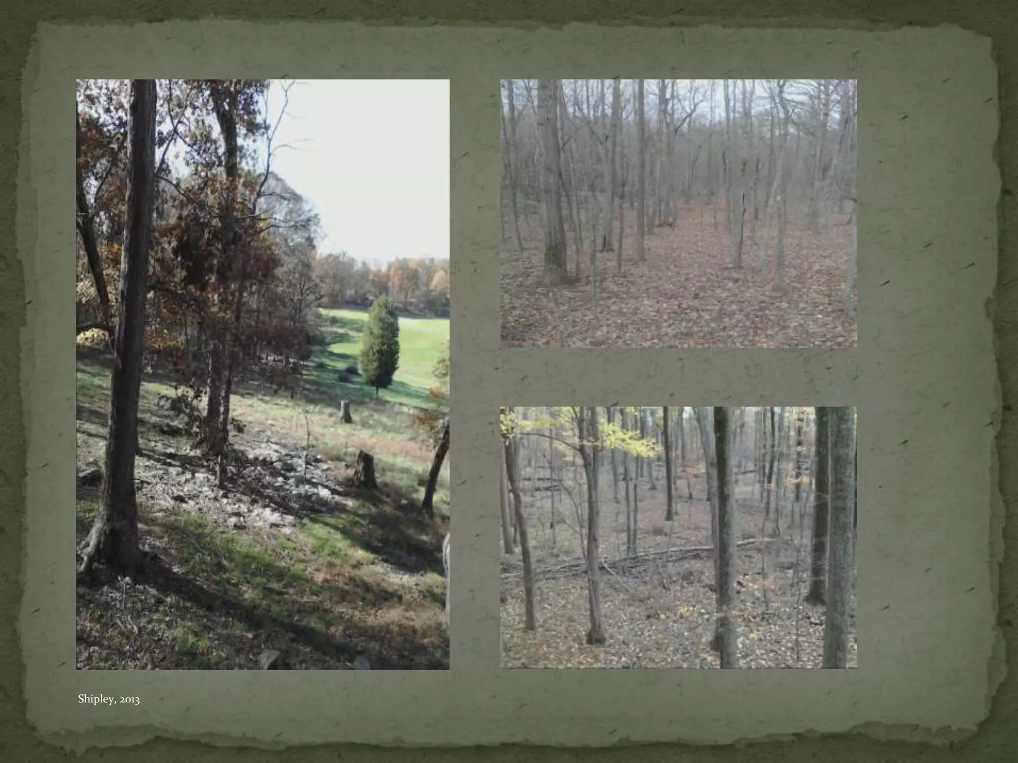 Bio 130 natural history project | PPT