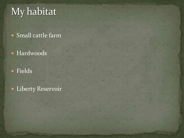 Bio 130 natural history project | PPT