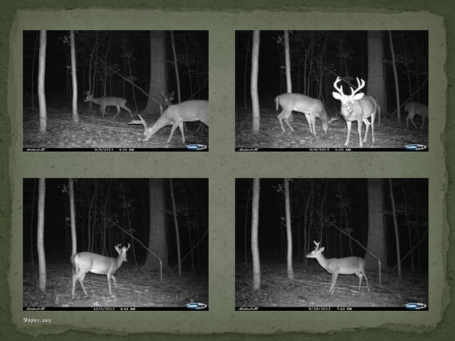 Bio 130 natural history project | PPT