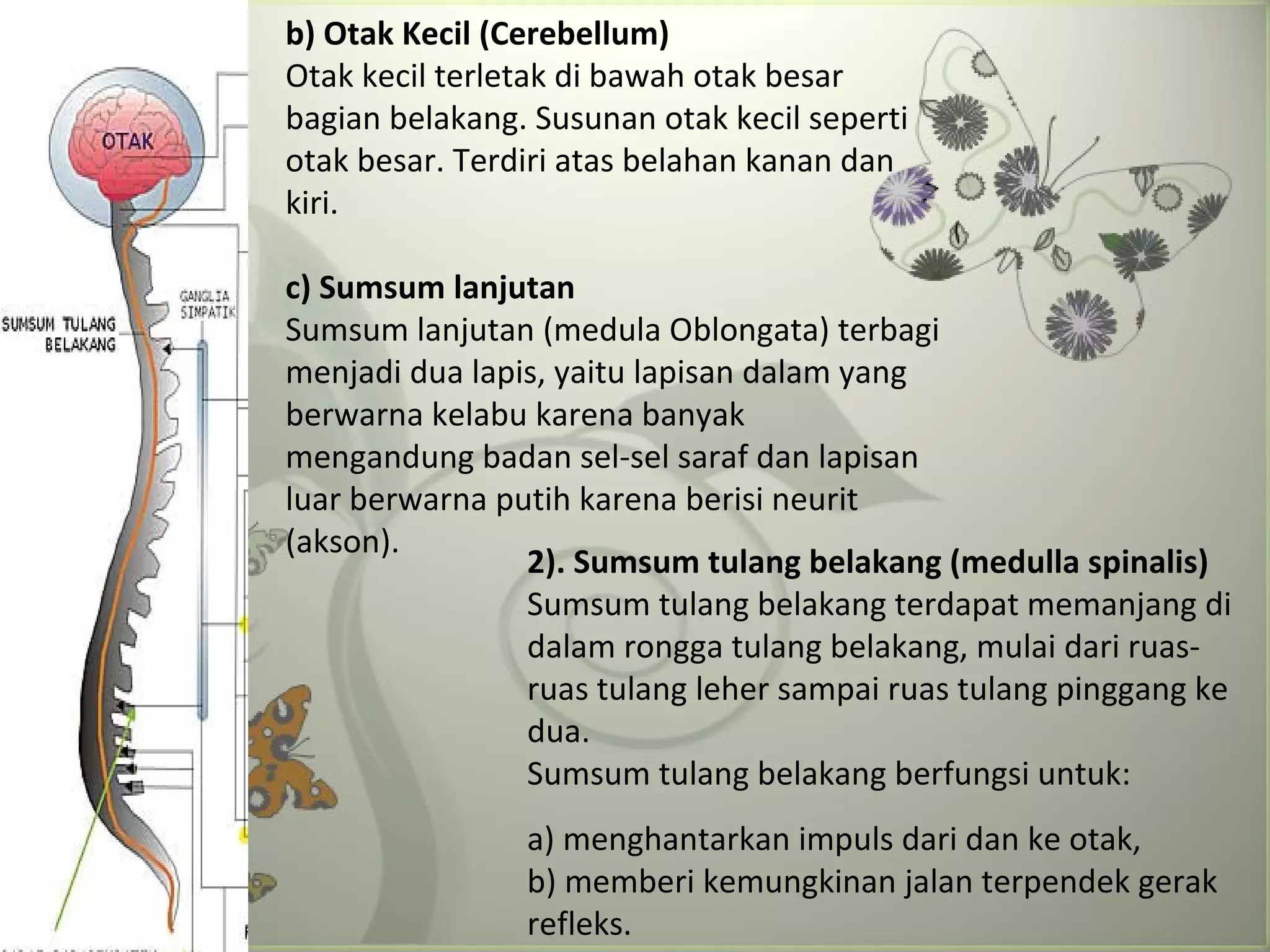 Biologi-Sistem Saraf | PPT