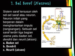 Biologi-Sistem Saraf | PPT