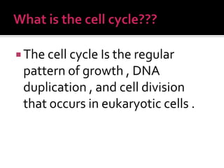cell cycle | PPT