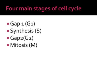 cell cycle | PPT