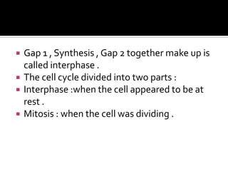 cell cycle | PPT