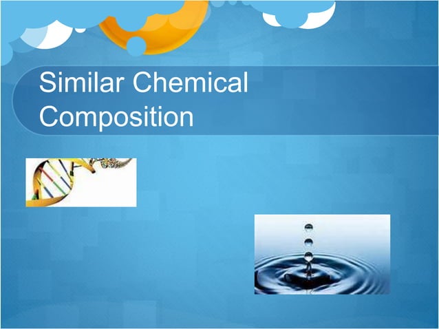 Bio. visual representation thing | PPTX