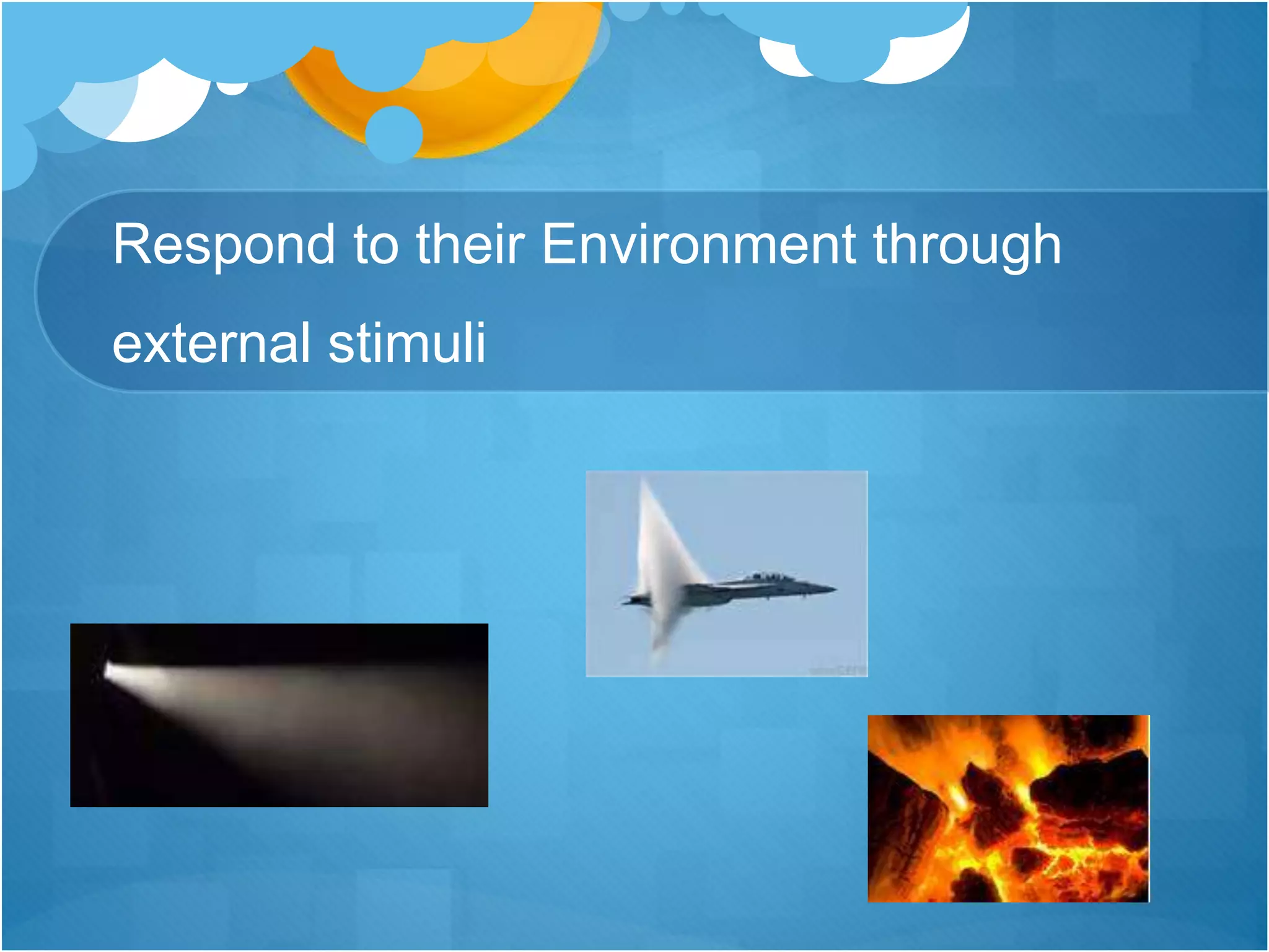 Bio. visual representation thing | PPTX