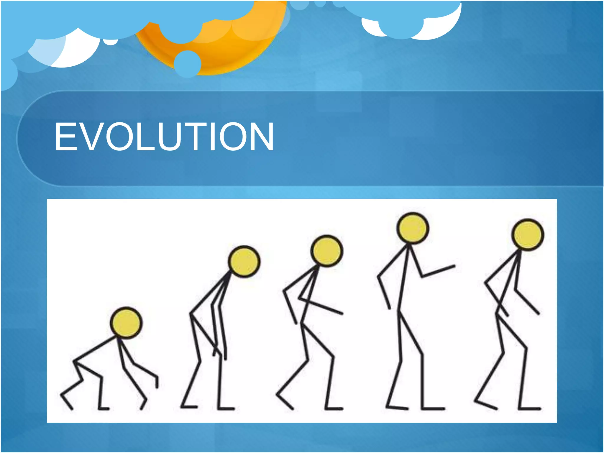 Bio. visual representation thing | PPTX