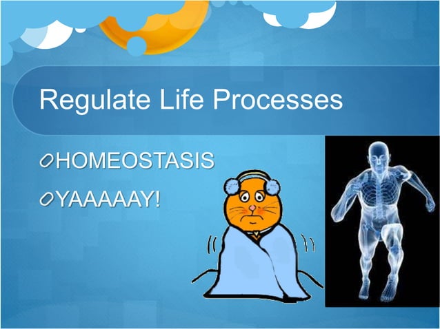 Bio. visual representation thing | PPTX