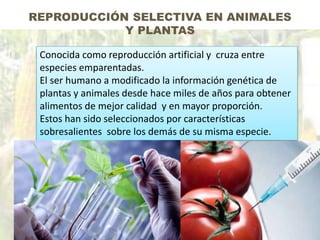 Biotecnología y sus aplicaciones | PPTX