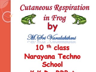 cutaneous respiration in frog | PPTX