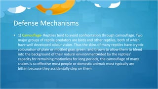 P.Reptilia | PPT
