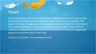 P.Reptilia | PPT