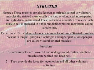 Biology musle and skeletal ppt | PPT