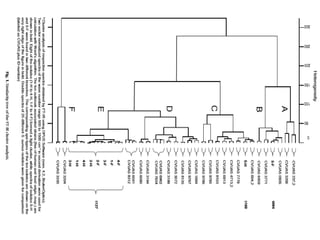 Staphylococcus aureus food-poisoning outbreak associated with the consumption of ice cream | PPT