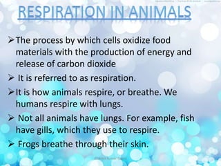 Cutaneous Respiration In Frog. | PPTX