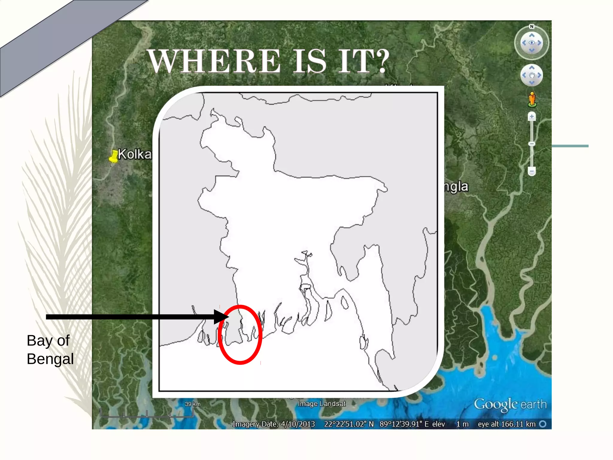 Sunderban Forest PPT | PPT