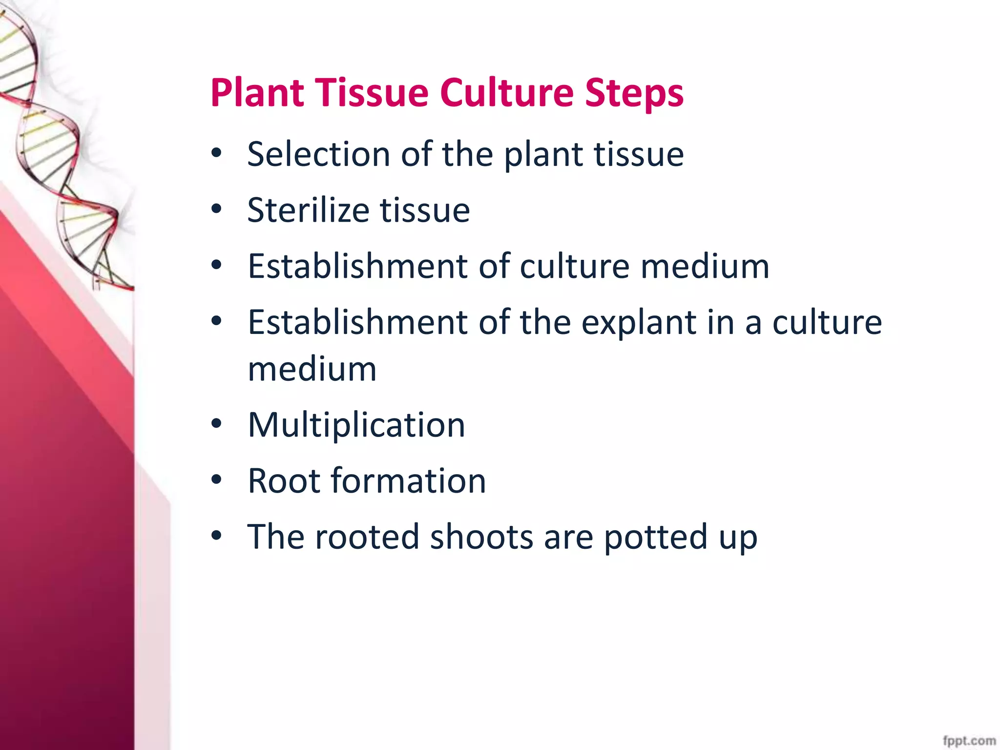 Tissue Culture | PPTX