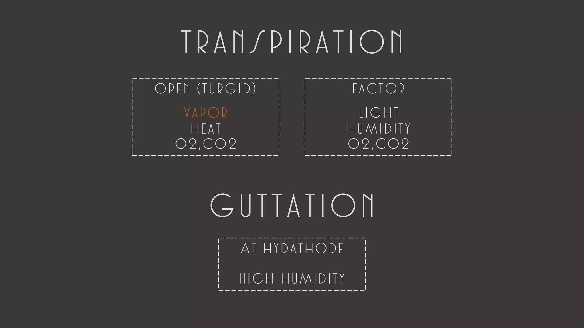 Water Conduction in Plant | PPT