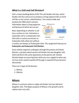 Mytosis & Meiosis | Biology | Cell Division | PDF