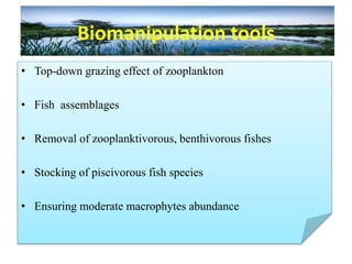 MANAGEMENT OF WETLANDS THROUGH BIOMANIPULATION | PPTX