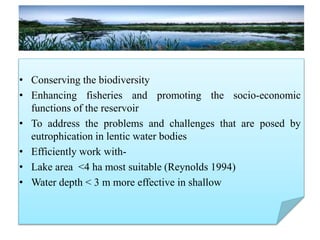 MANAGEMENT OF WETLANDS THROUGH BIOMANIPULATION | PPTX