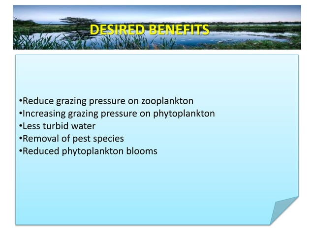 MANAGEMENT OF WETLANDS THROUGH BIOMANIPULATION | PPTX