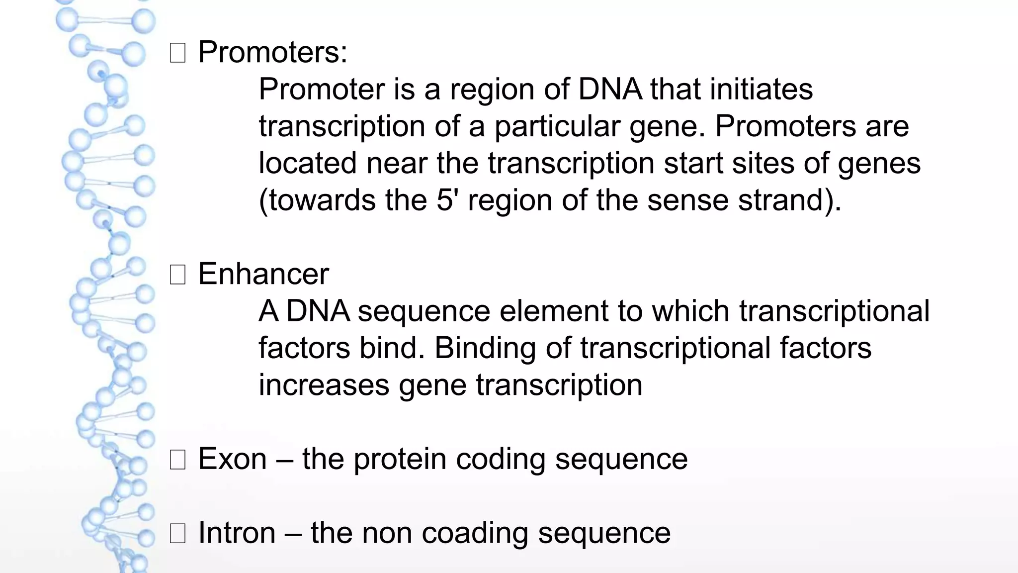 Bioinformatics presentation on finding gene in DNA | PPT