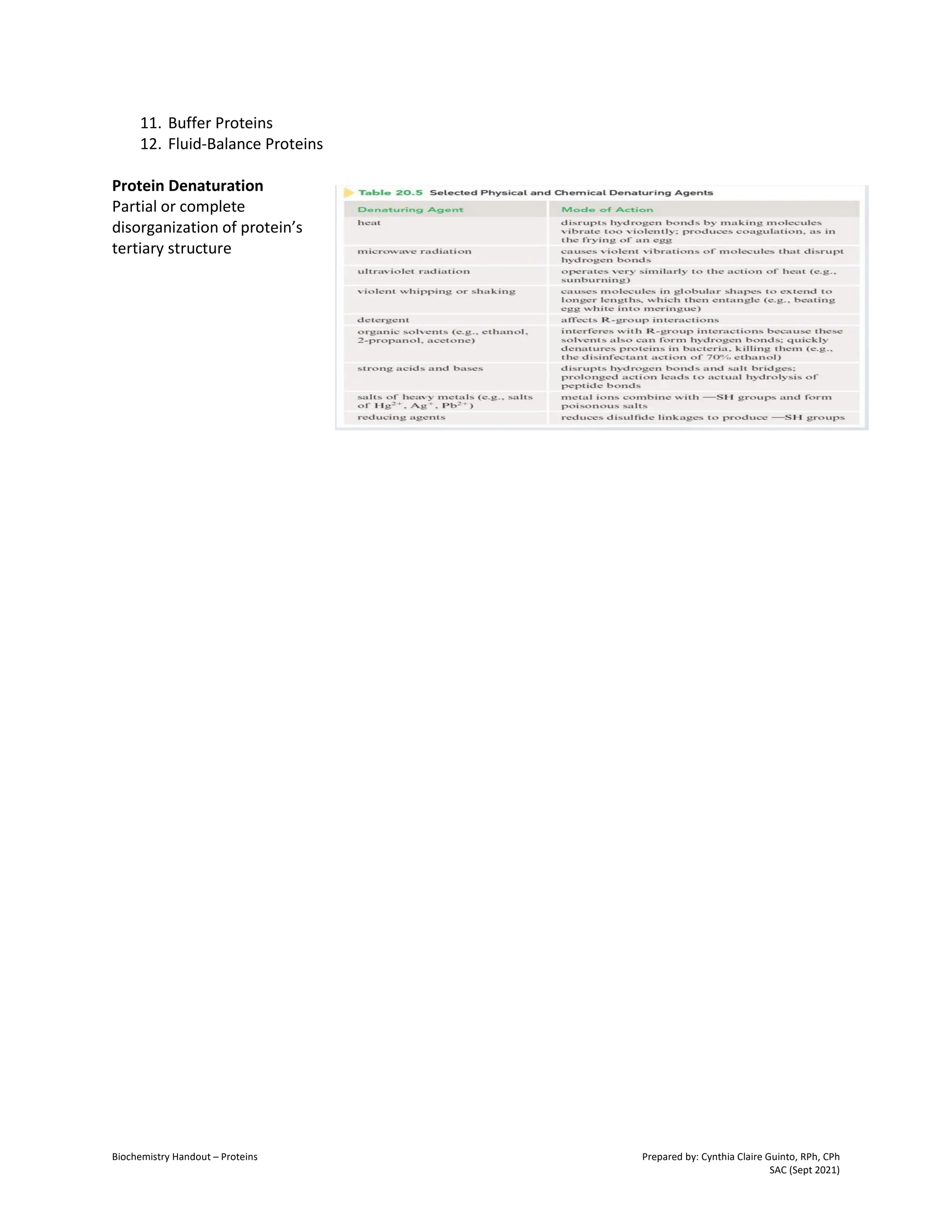 Biochemistry Proteins, Carbohydrates, Nitrogen | PDF