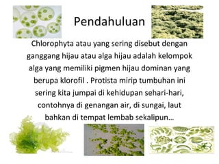 Biology - Chlorphyta | PPT