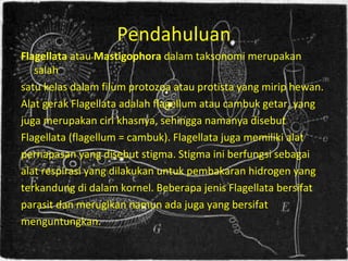 Biology - Flagellata | PPT
