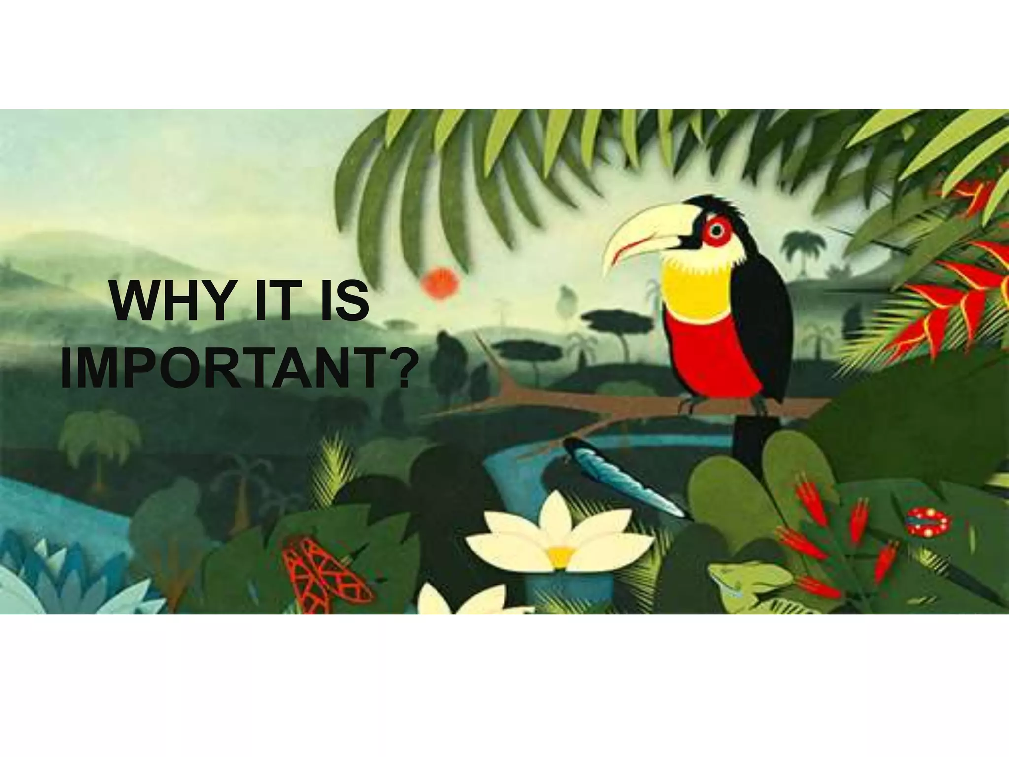 Biodiversity | PPTX