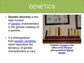 Biodiversity | PPTX | Biological Sciences | Science