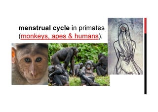 reproduction in organism class xii | PDF