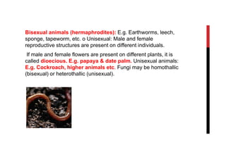 reproduction in organism class xii | PDF