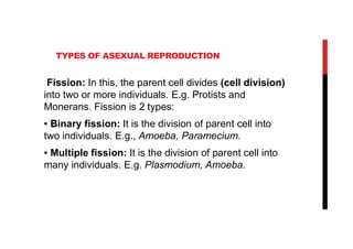 reproduction in organism class xii | PDF
