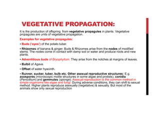 reproduction in organism class xii | PDF
