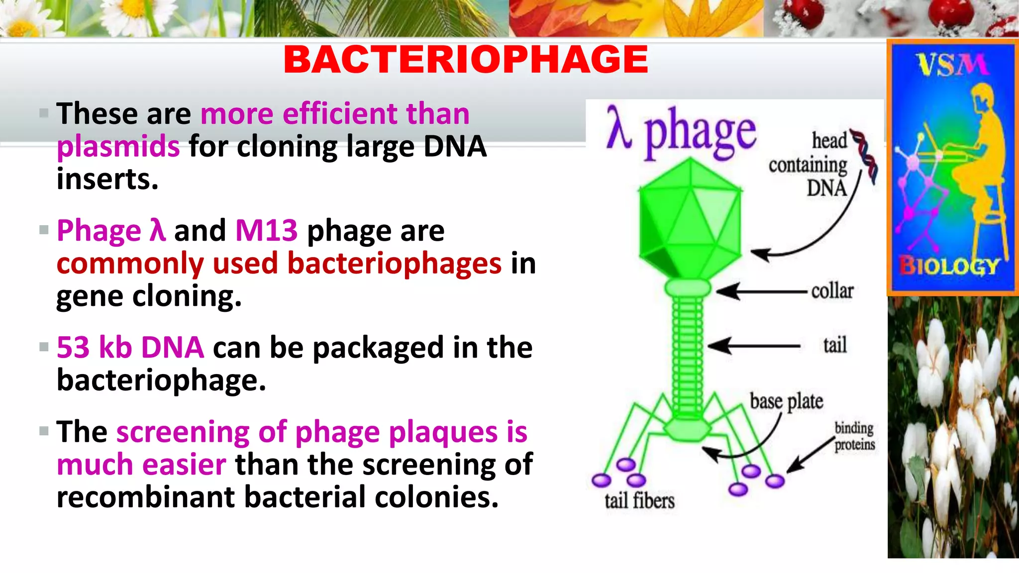 Bio. tech. pr.& process | PDF