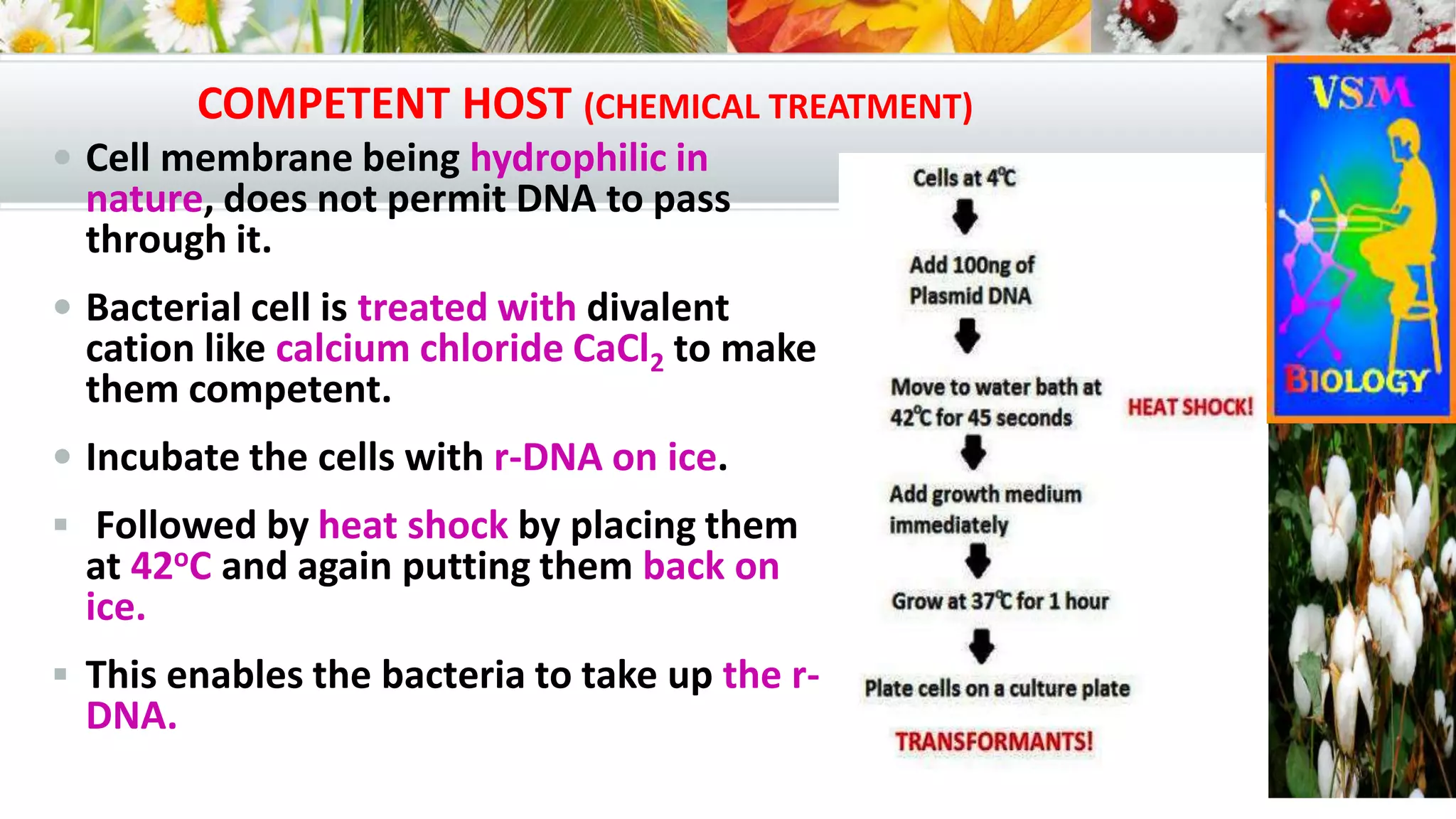 Bio. tech. pr.& process | PDF