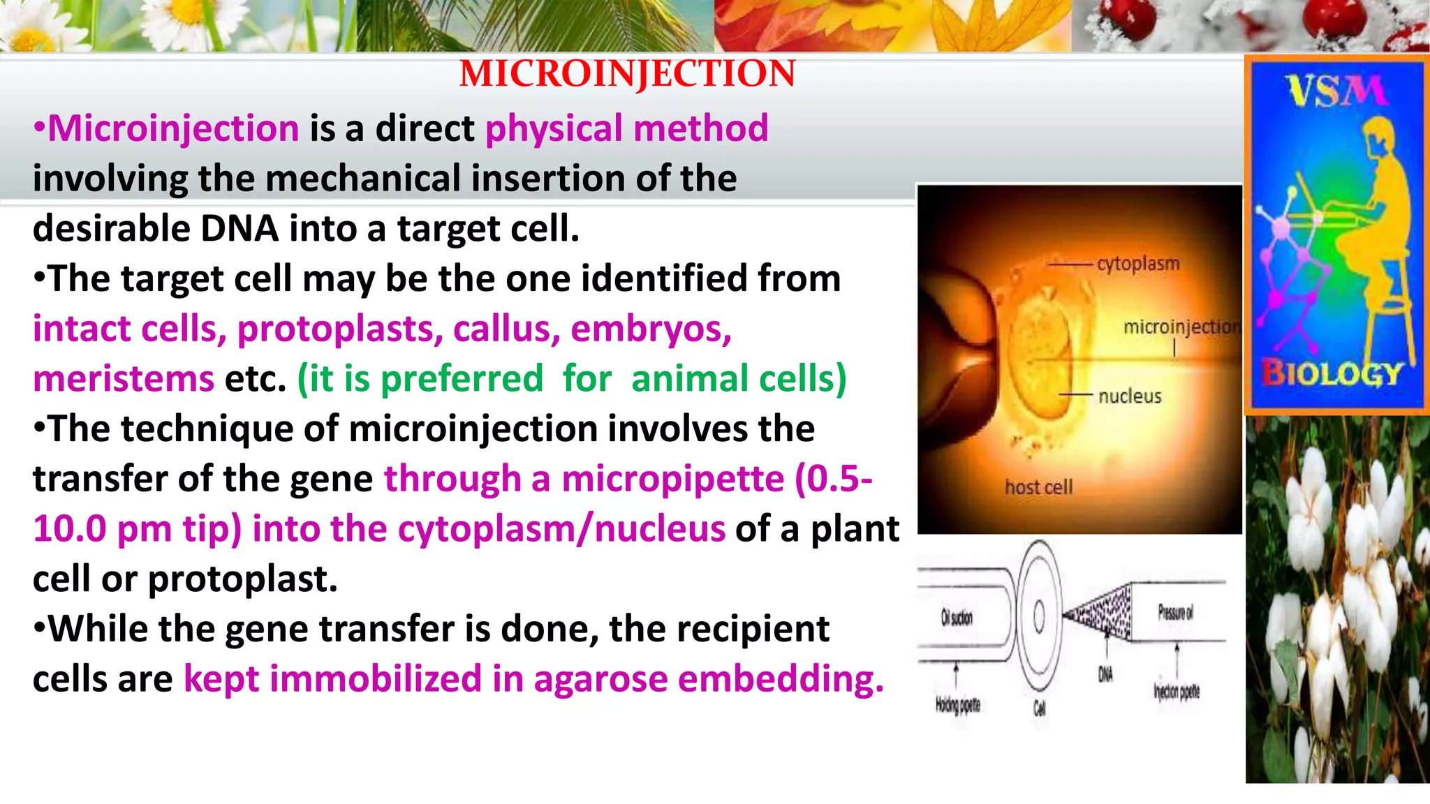 Bio. tech. pr.& process | PDF